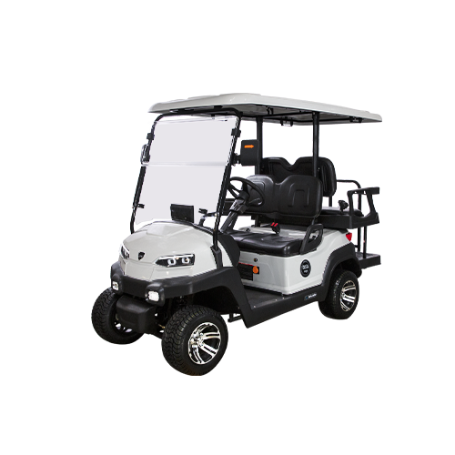 WIND - Z Series - 4 Seats -Normal - lithium - RAYA AUTO Premium